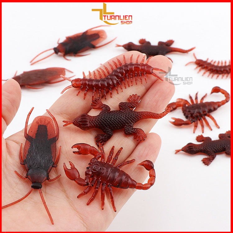 Fake Insects: Realistic Plastic Cockroaches, Centipedes, Scorpions, and ...