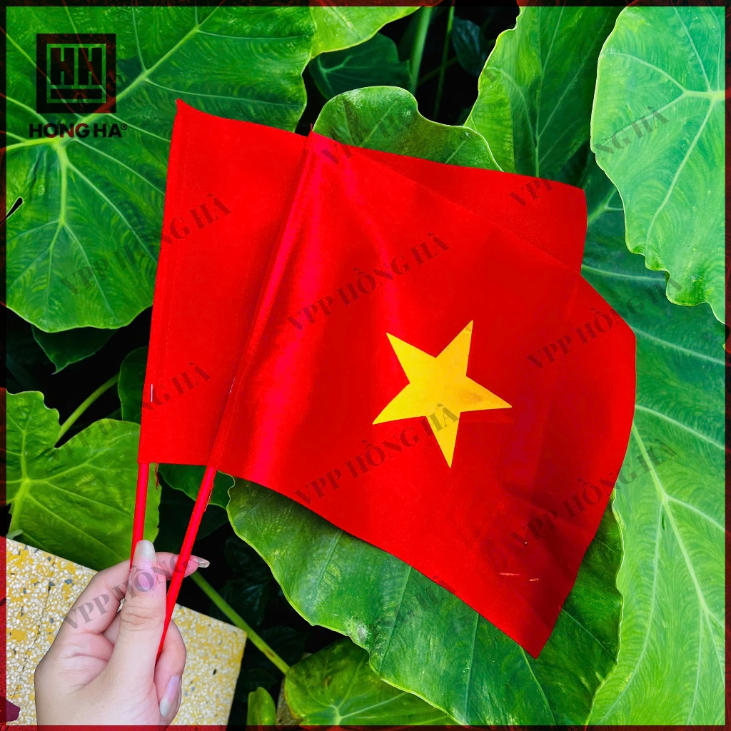 Hand Waving Flags For Students To Start Teaching, Football Cheering ...