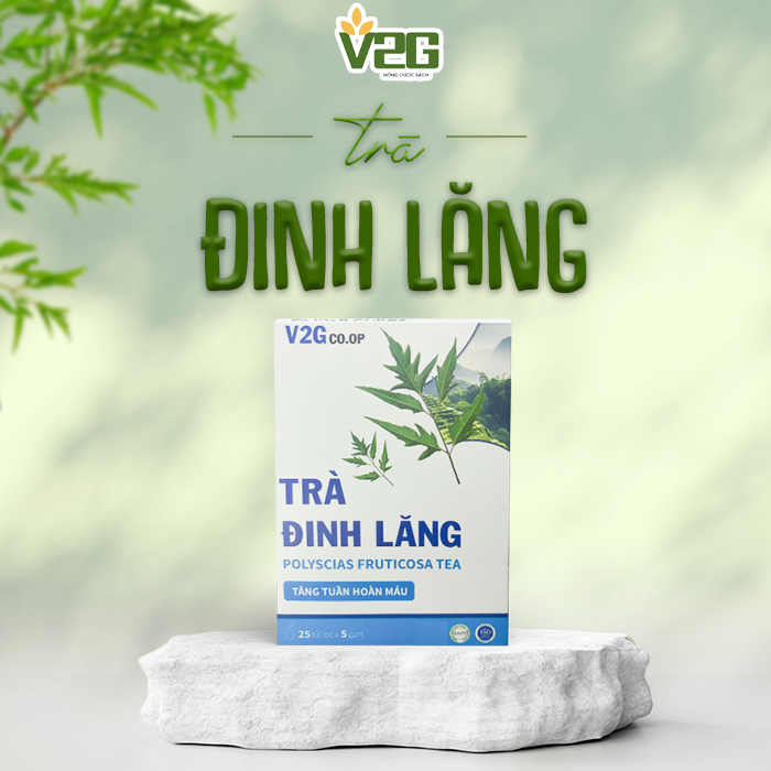 Dinh Lang Tea box of 25 Filter Bags x 5g V2G | Shopee Philippines
