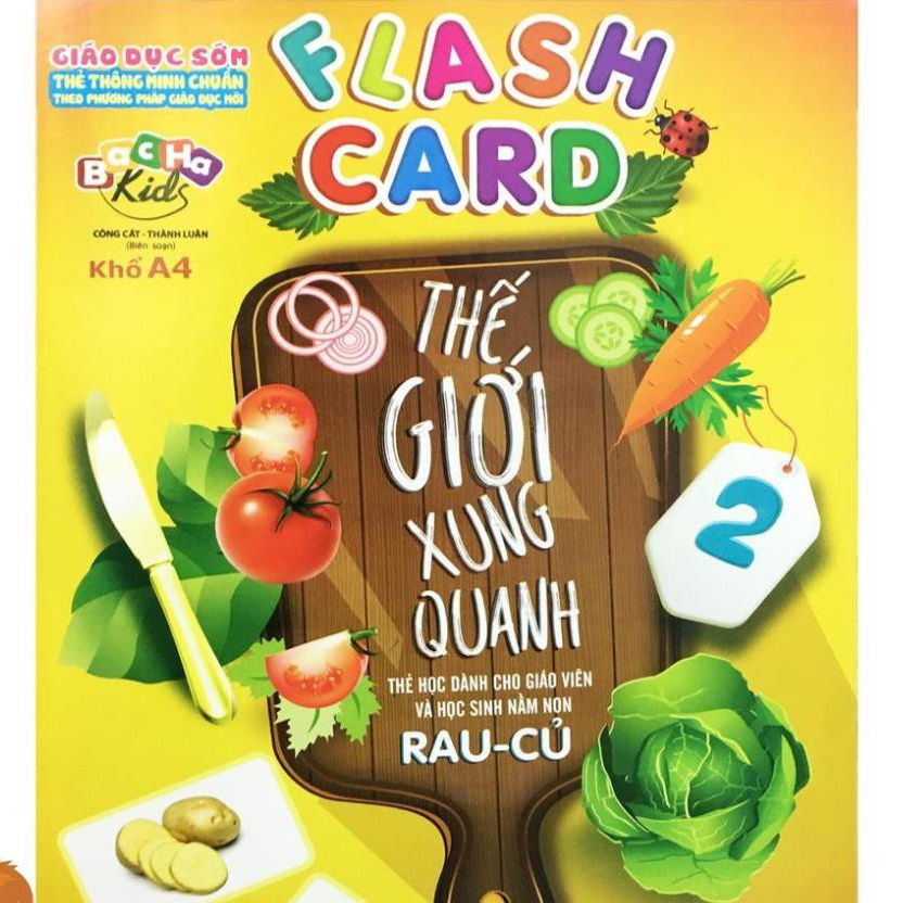 Flash Card - World Around Card 2 - Vegetables | Shopee Philippines