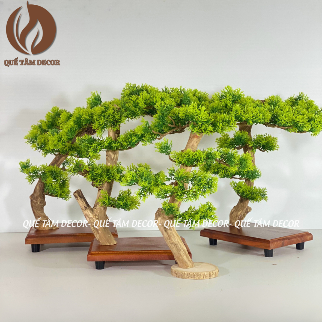 Bonsai trees decorate miniature landscapes of Buddha statues, driftwood ...