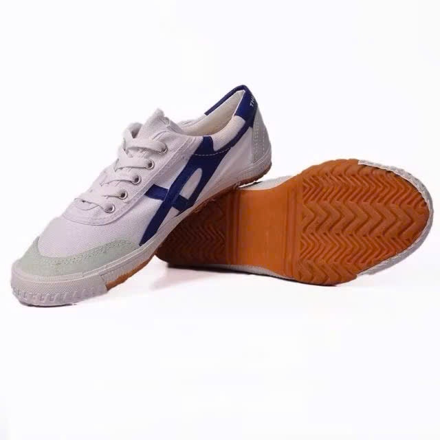 Multi-purpose canvas shoes with white and blue stripes and leather ...