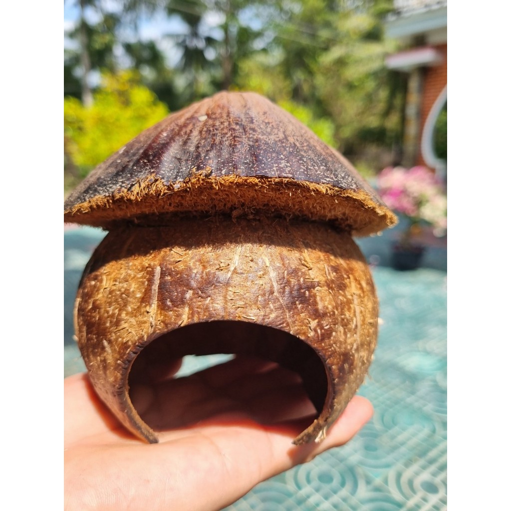 Coconut shell cave for mice, bugs, hamsters, reptiles....with roof ...