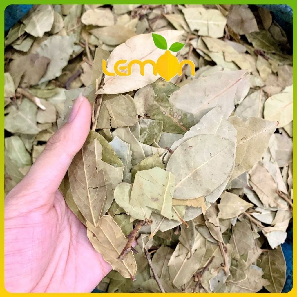 [100g-500g] Dried bay leaves - Fragrant leaves for Western spices ...
