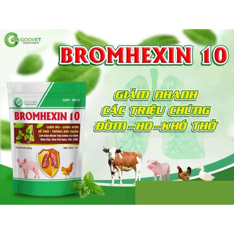 BROMHEXIN 10 GOOVET 1kg pack - Cough relief, Expectorant, Easy ...