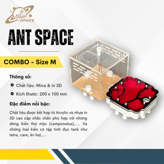 ANT SPACE ANT TANK - LIMITED CONNECTION MODULE COMBO Size M | Shopee ...