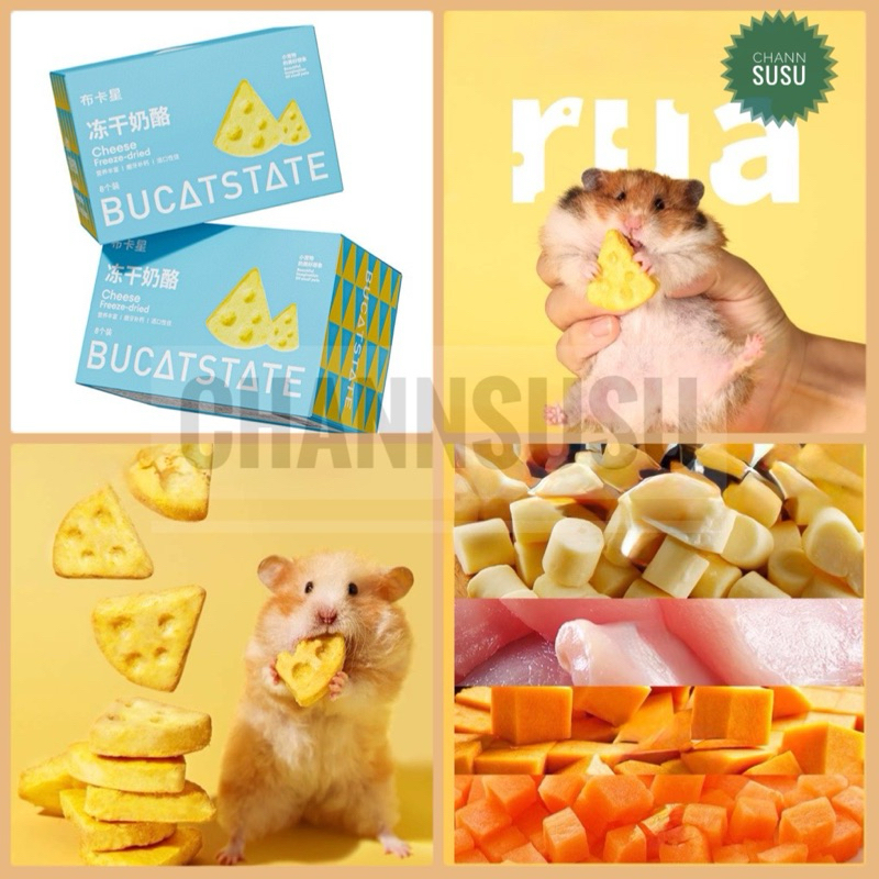 Delicious premium BUCATSTATE Cheese for pet hamsters and mice | Shopee ...
