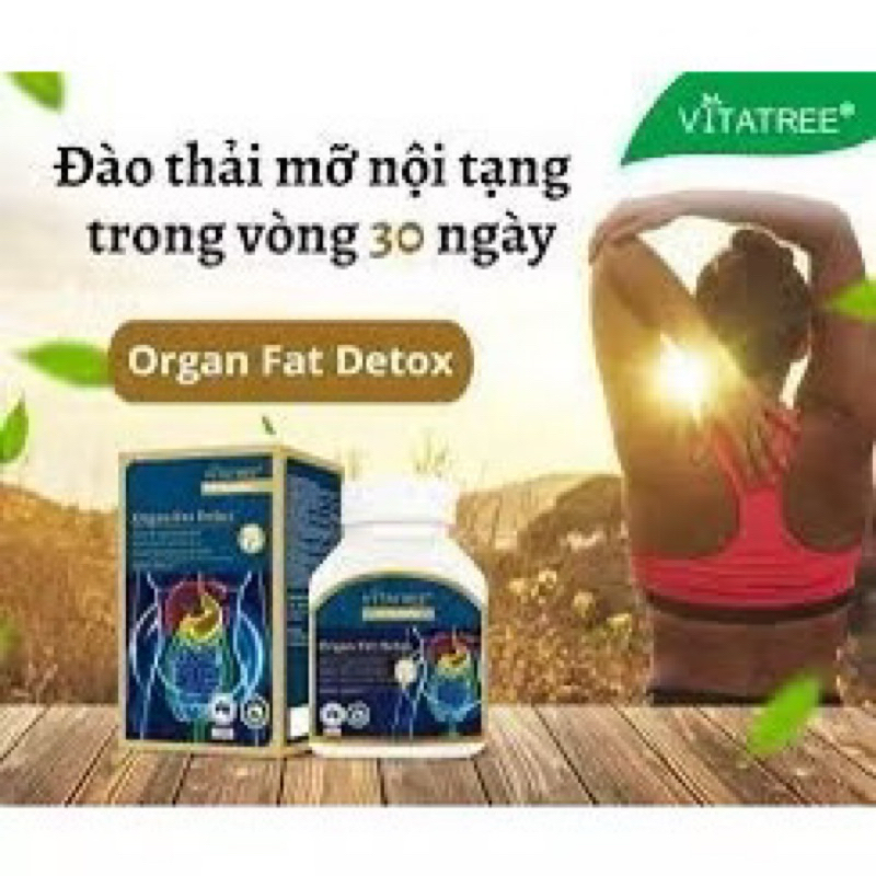 Internal Fat Detox Pills - VITATREE Organ Fat Detox | Shopee Philippines