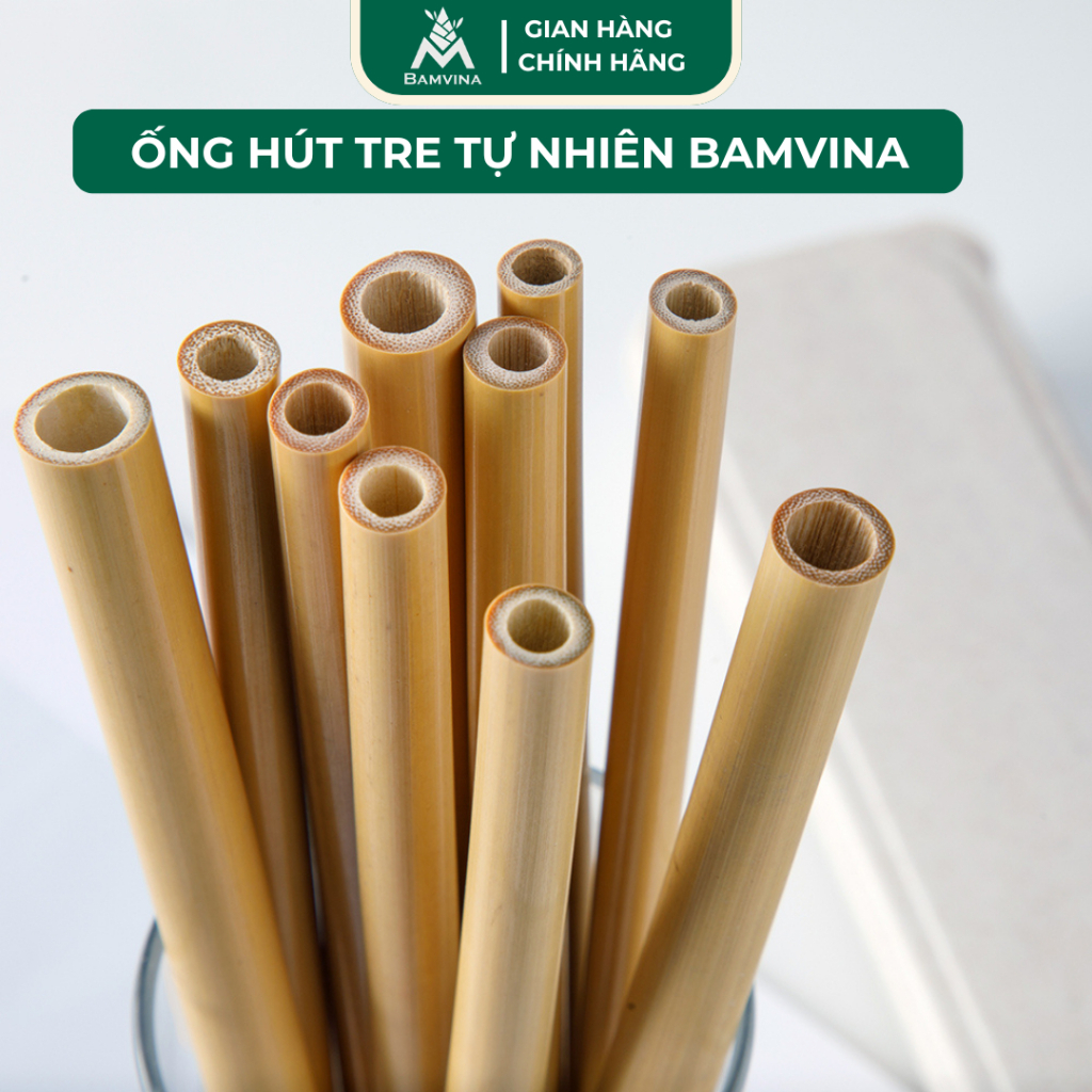 Bamvina Natural Bamboo Straws Bamboo Wood Straws Safe for Health and ...