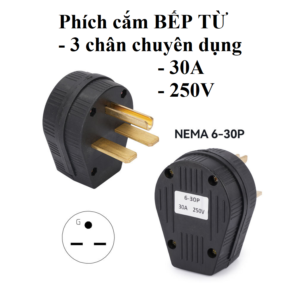 Japanese Induction Cooker Plug 30A - 250V (NEMA 6-30P). American ...