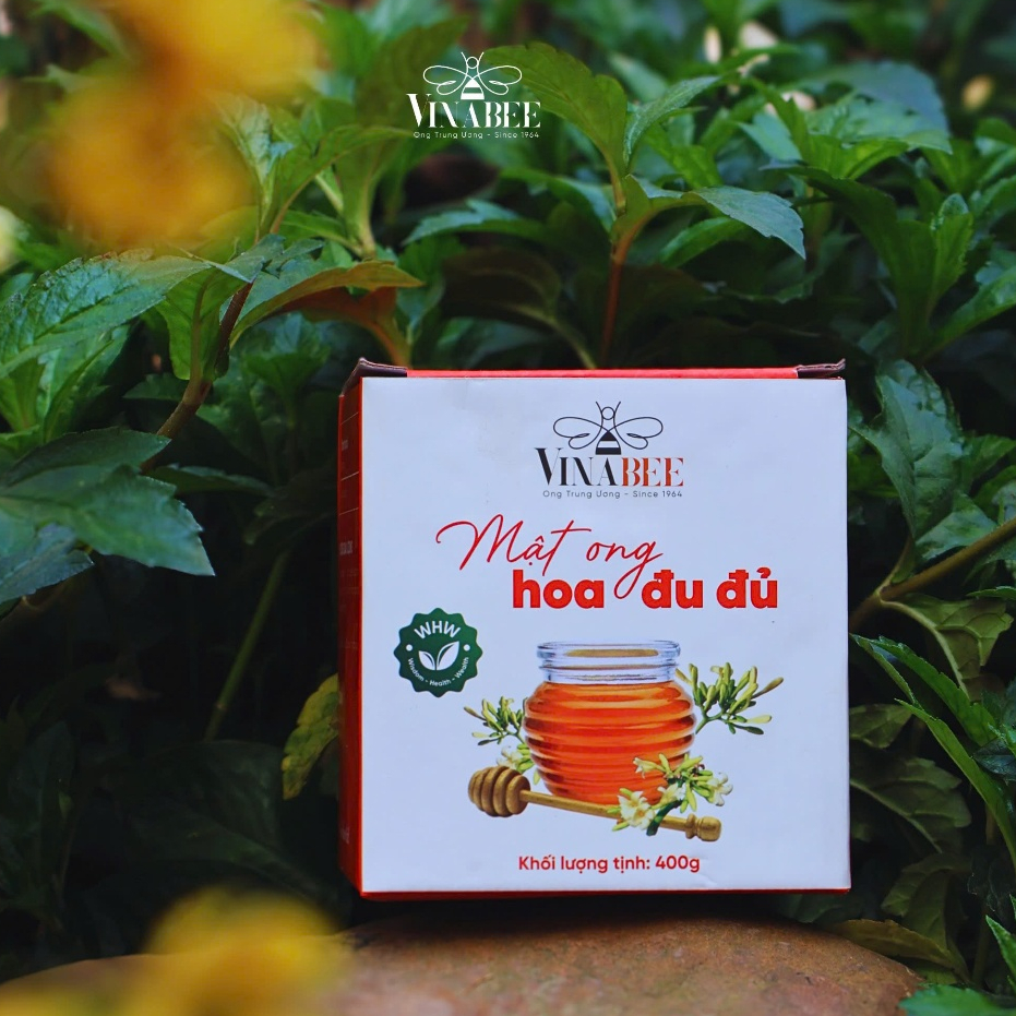 Vinabee papaya flower honey 400g | Shopee Philippines