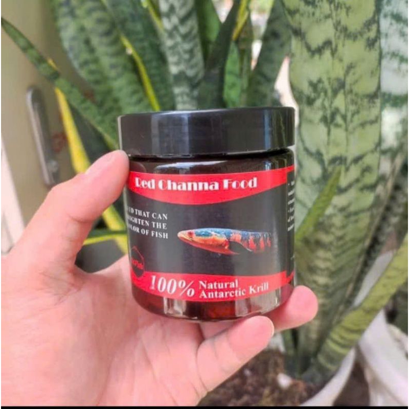 Dried Shrimp Food for Snakehead Fish - Food to Enhance Color and Scale ...