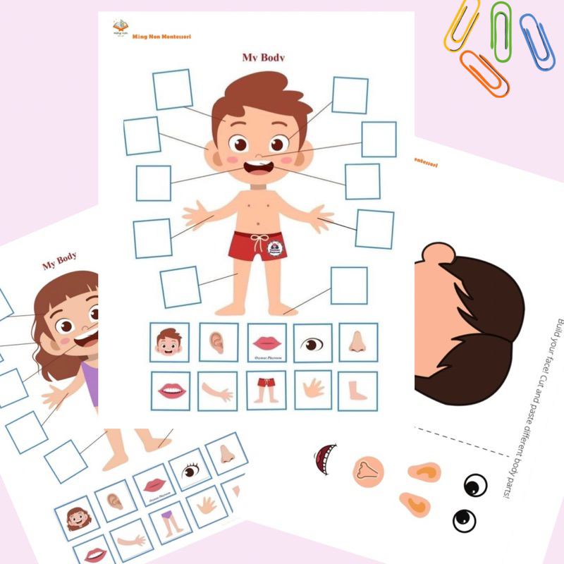 Learning materials set for human body parts (Montessori learning ...
