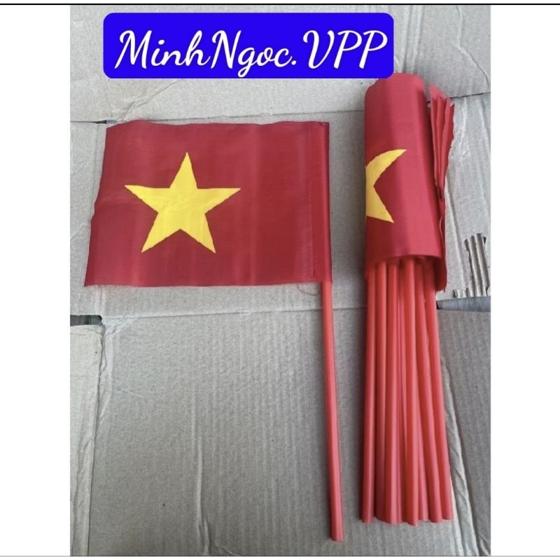 COMBO of 100 small hand-held national flags (waving flags with handles ...