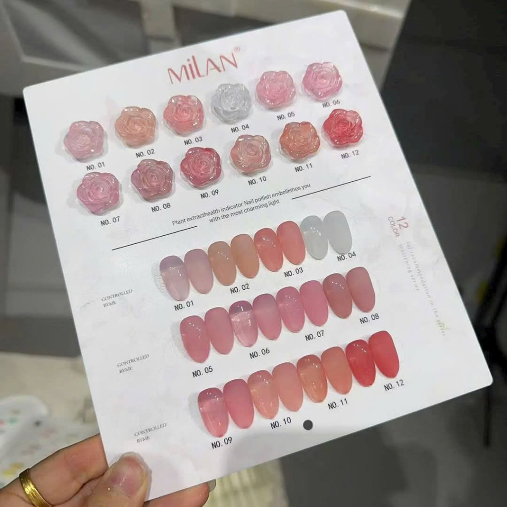 Milan 12-color jelly set with color chart | Shopee Philippines