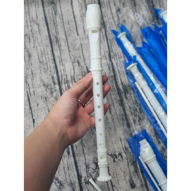 Cheap 8-hole soprano recorder plastic flute for students | Shopee ...