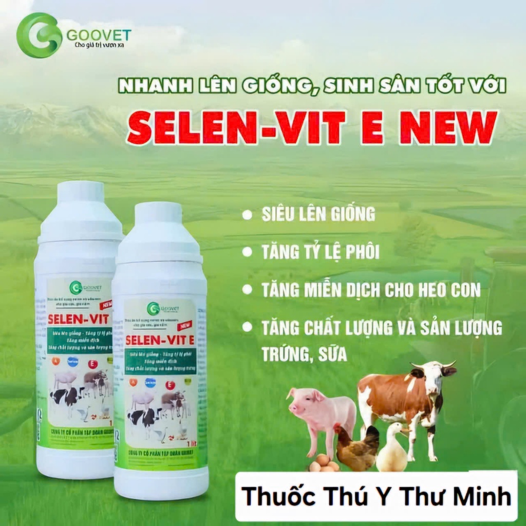 SELEN-VITE NEW Goovet helps breed quickly, increases embryo rate ...