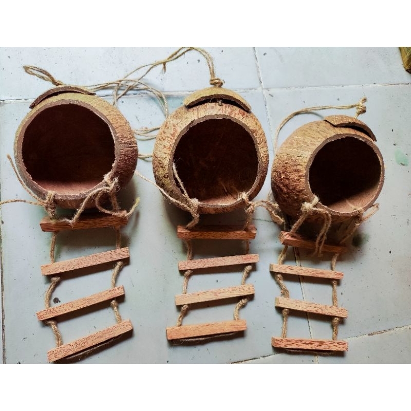 Coconut shell ladder to climb house and sleep pet reptile, OMH hermit ...