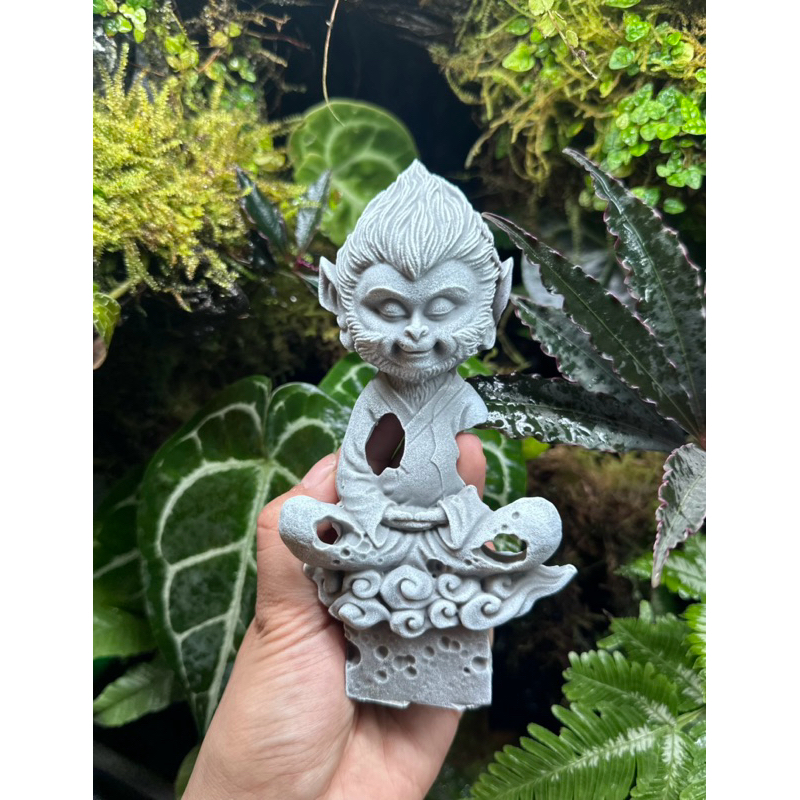 Sun Wukong sells terrarium setup, semi-terrain | Shopee Philippines