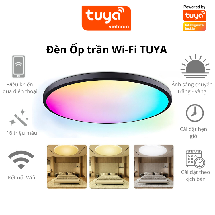 TUYA Wifi Smart LED Ceiling Light 16 Million Colors 24W, PP SmartLife ...