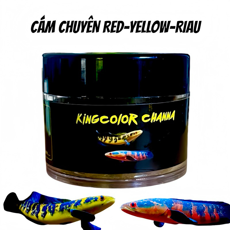 KINGCOlOR CHANNA bran - Supports scale border color - batik - yellow ...