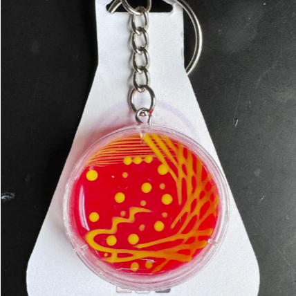 Micrococcus Blood Agar Petri dish Keychain/Badge Reel|MLT,MLS,Lab Tech ...