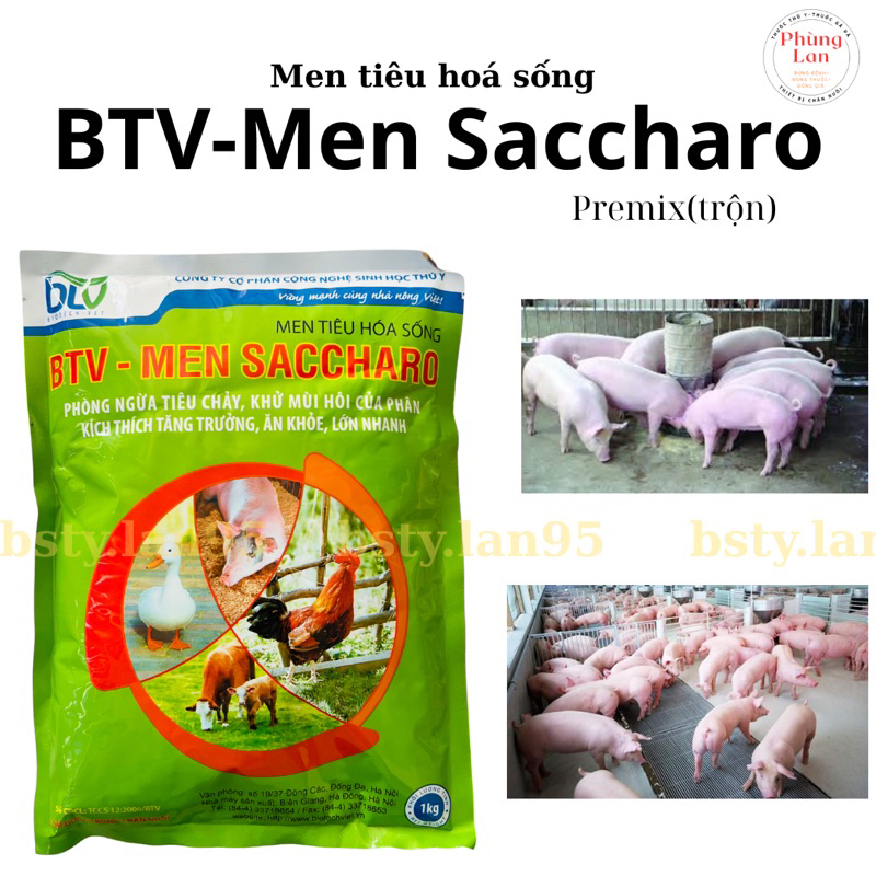 1kg Saccharo premix yeast - stimulates digestion, prevents diarrhea ...