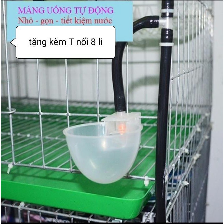 Combo of 10 Automatic Drinking Troughs for Pigeons, Ornamental Birds ...