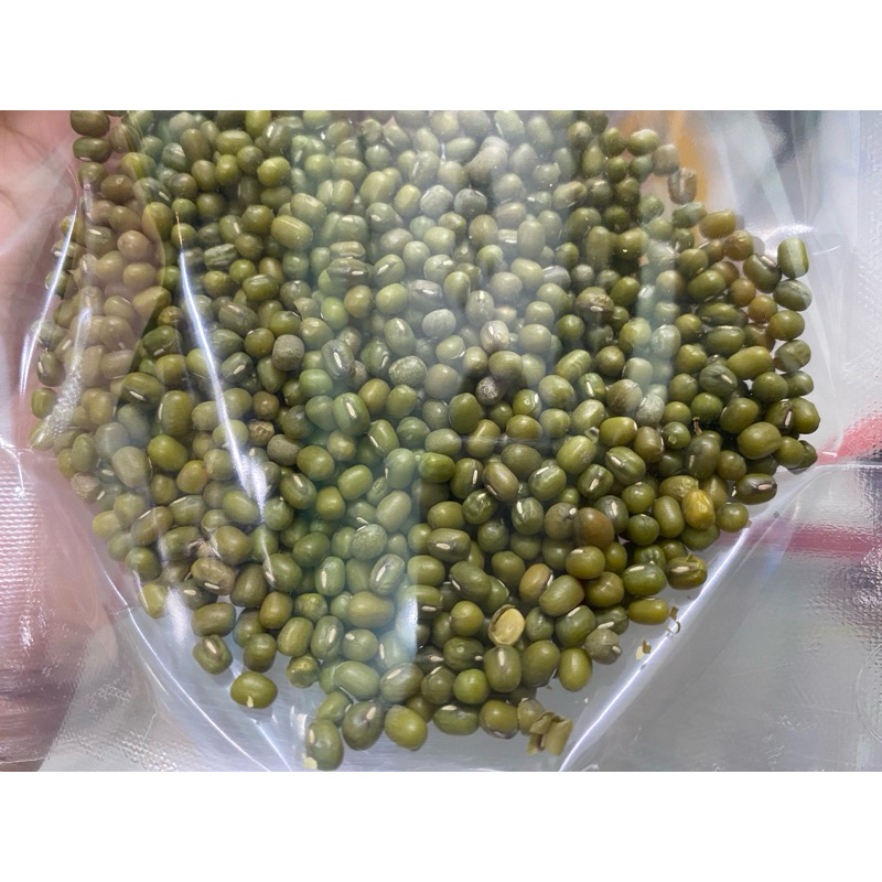 WHOLE GREEN BEANS, 500g/1 pack | Shopee Philippines