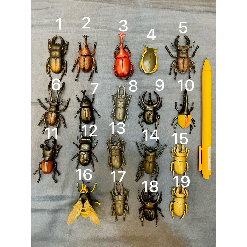 Genuine Scarab Model | Shopee Philippines