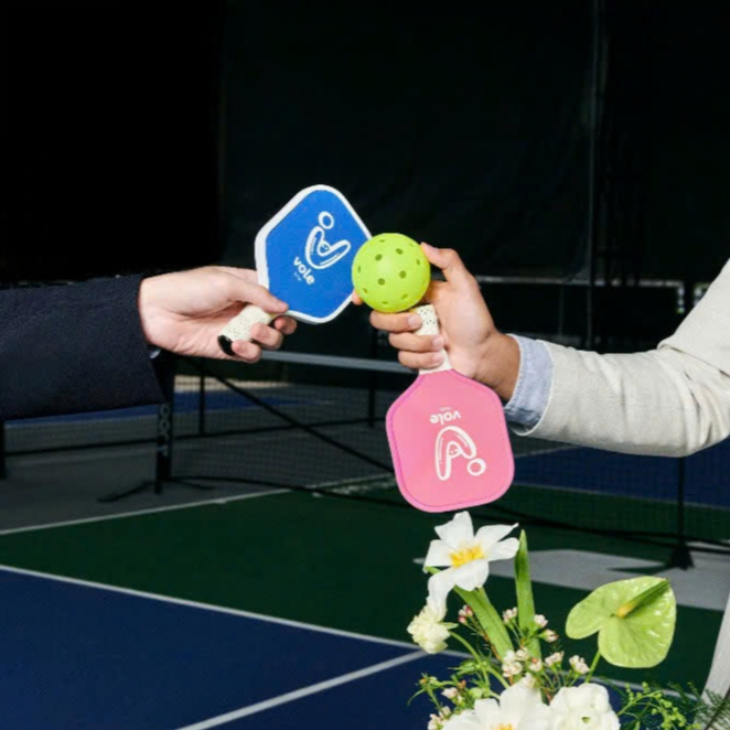 VOLE baby style children's pickleball racket, mini decor pickleball ...