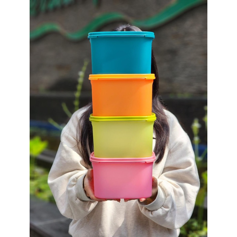 Colorful Rectangular Box set of 4 (4) with capacity of 2 liters of ...