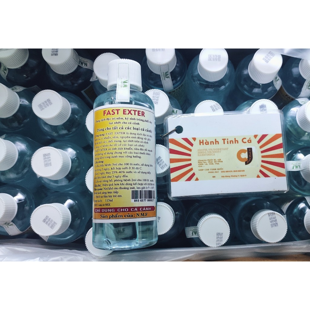 Exter Green (Fast Exter) 110ml | Shopee Philippines