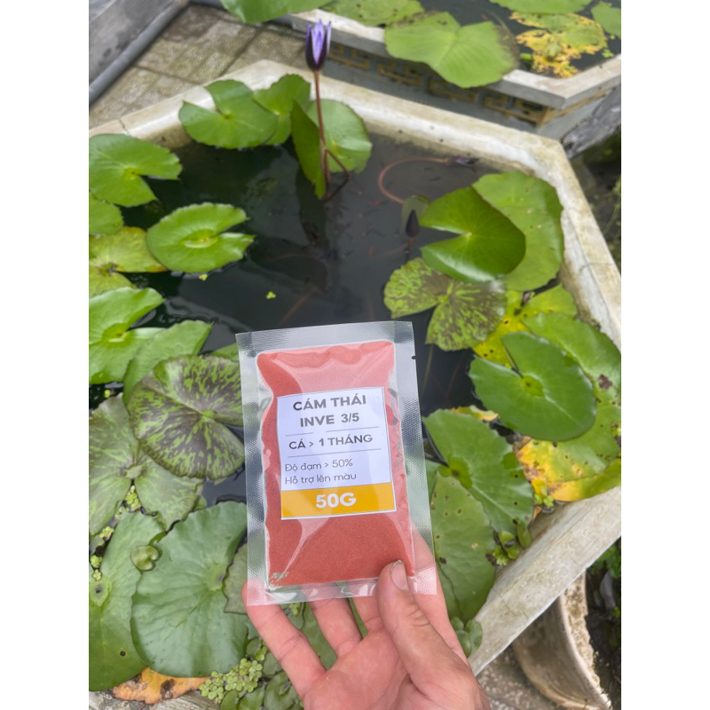 Food bran for small fish, small ornamental fish with 7 sensitive colors ...