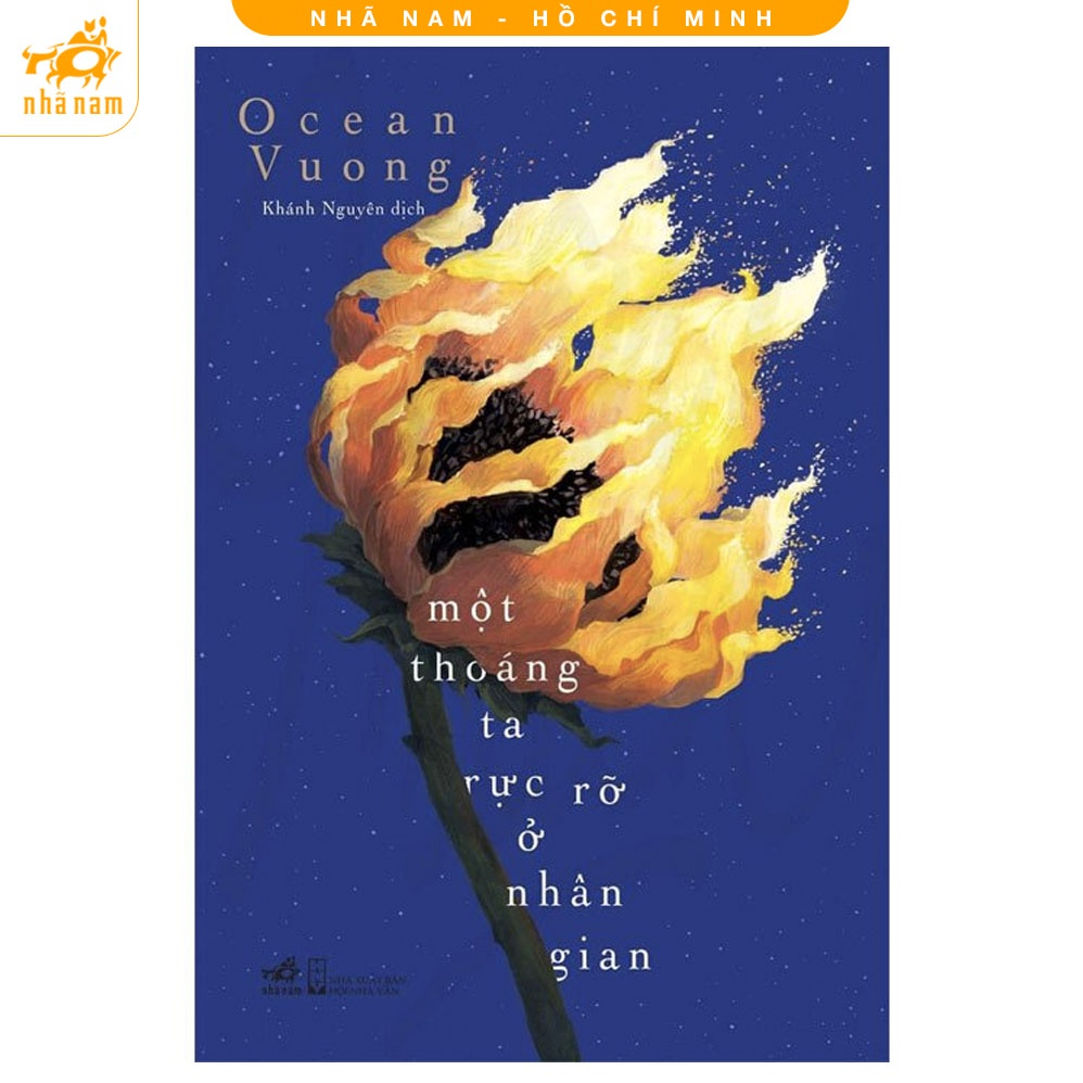 Book - A Glimpse of My Brilliance in the Human World (Nha Nam) | Shopee Philippines