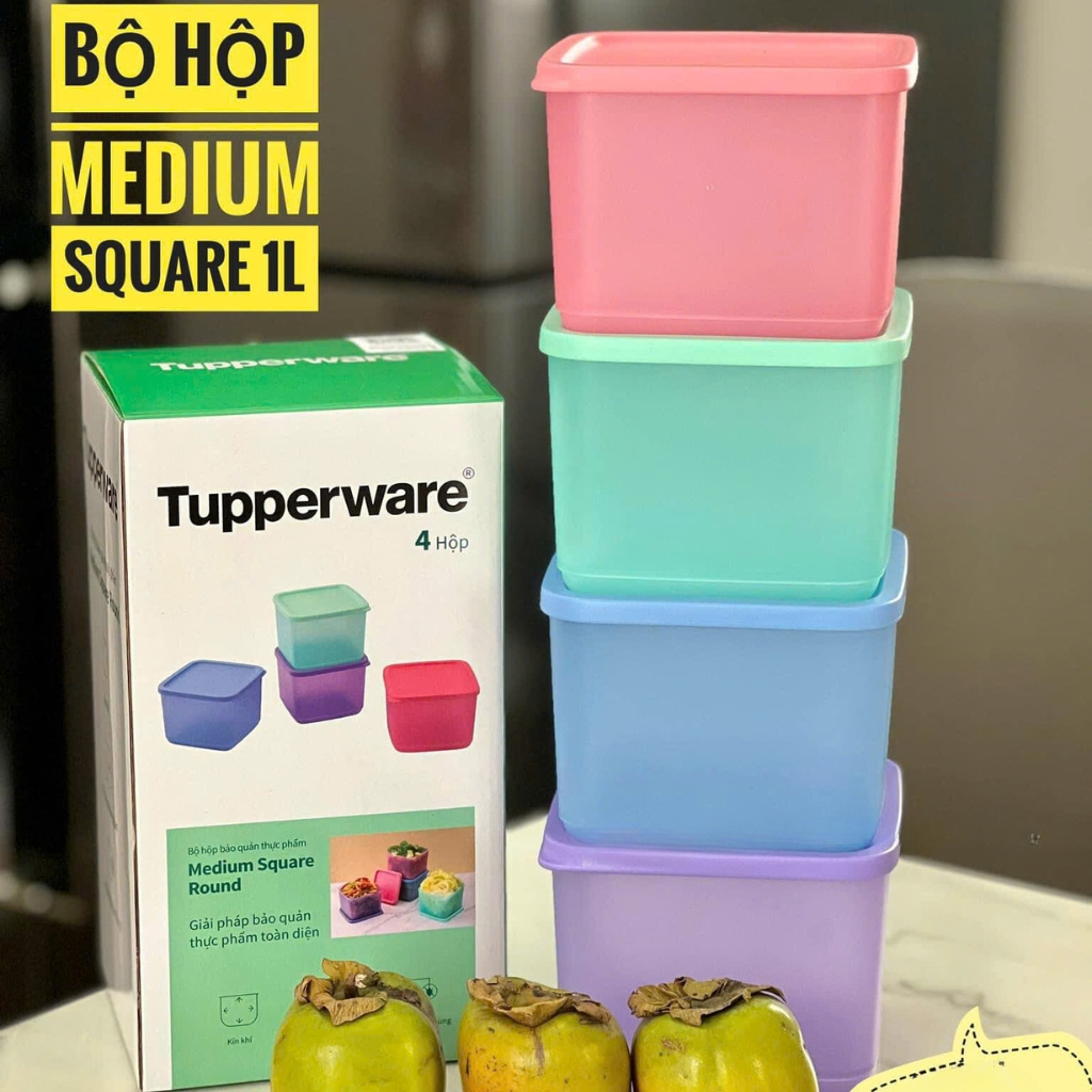 Single 1L cool storage box, cooler food container, airtight box ...