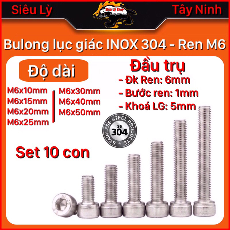 Set of 10 304 stainless steel Hexagonal Bolts - Cylinder head Size M6 ...