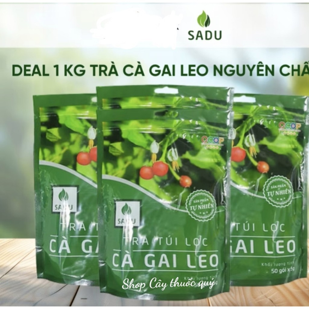 Sadu Solanum procumbens tea bag 1kg includes 4 bags of 250g, tea to ...