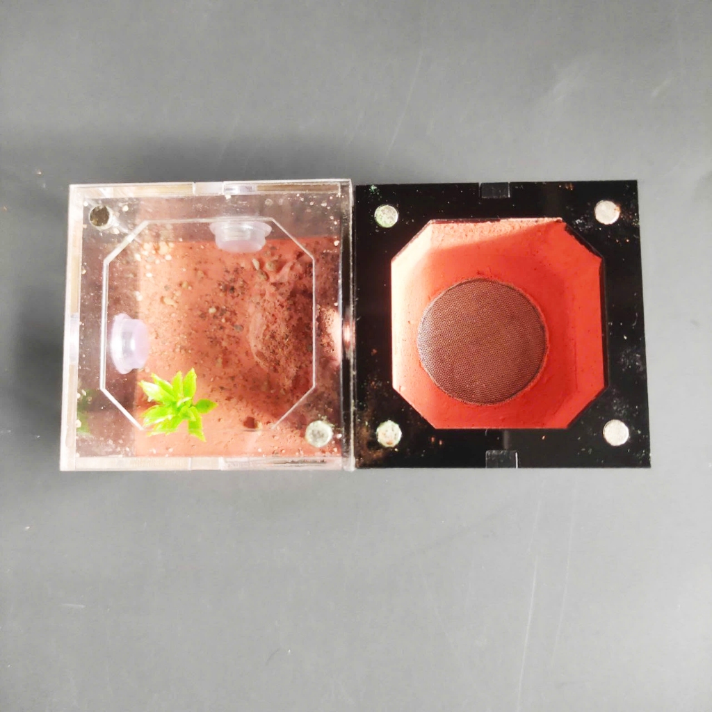 Plaster tank G1, mini ant tank, breeding box/ant nest/formicarium/ant ...