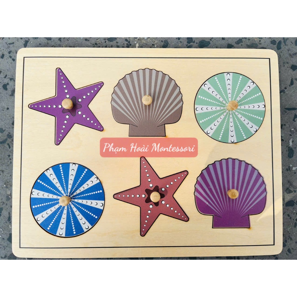 Sea animal puzzles, simple puzzles, Shell Puzzle, montessori Puzzle ...