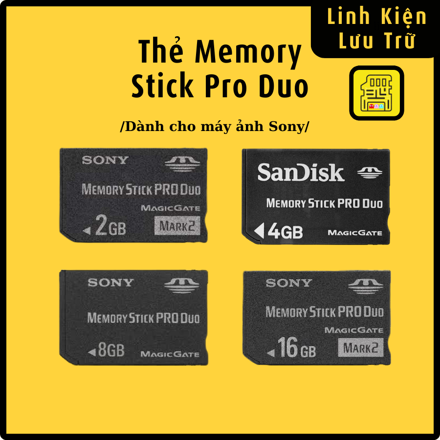 Genuine Memory Stick PRO DUO Memory Card for Sony Cameras | Shopee ...