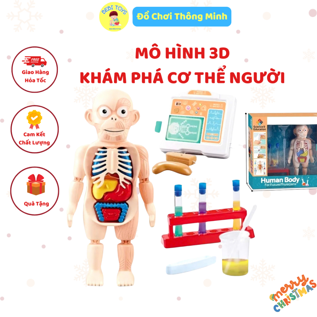 3d Body Puzzle Set Human Body Anatomy Assembly Model Montessori ...