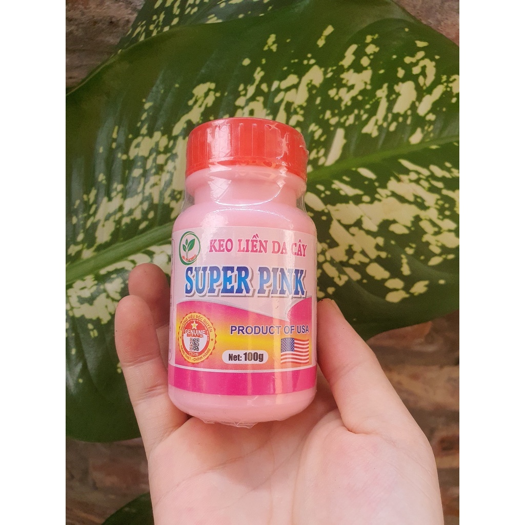 Super Pink scar healing glue, 100gr jar | Shopee Philippines