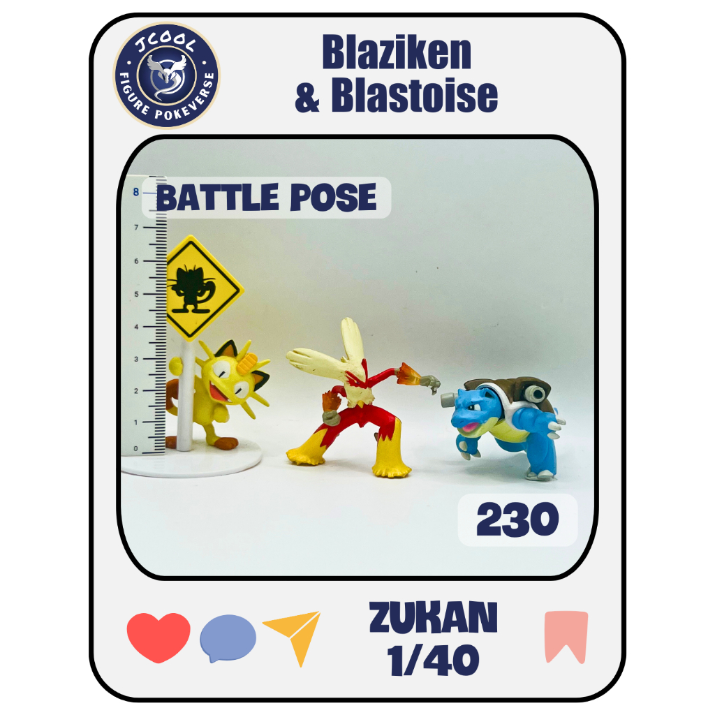 Blaziken & Blastoise (Battle pose) - Gen 3 Hoenn region - Pokemon model ...