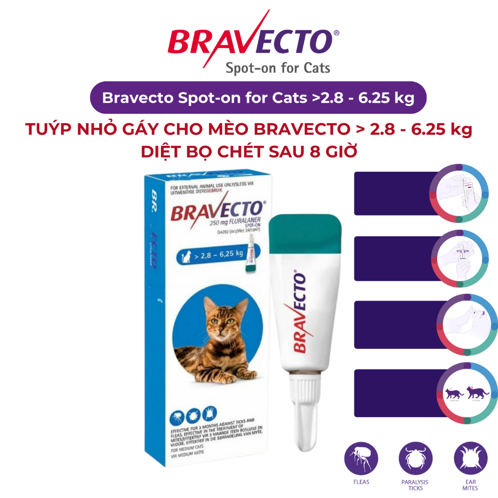 Bravecto Box of 1 small tube of nape for cats 2.8-625kg to treat ticks ...