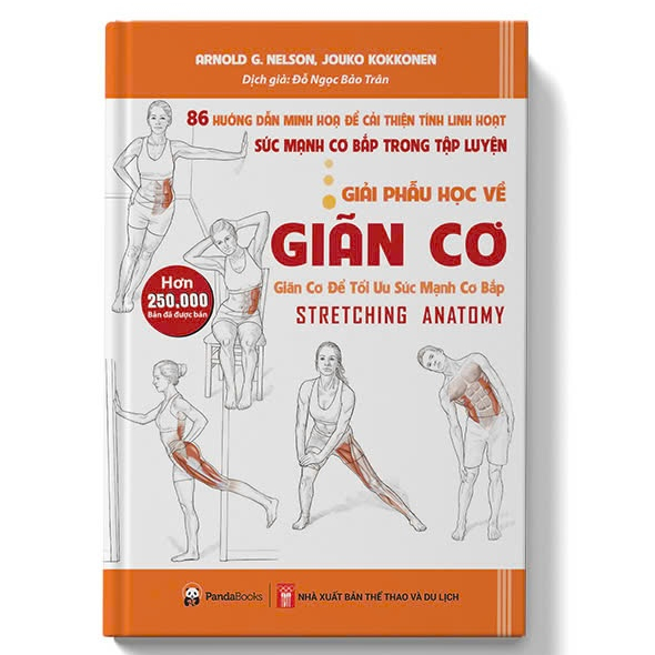 Book - Anatomy of Muscle Stretching (Optimizing muscle strength / 86 ...