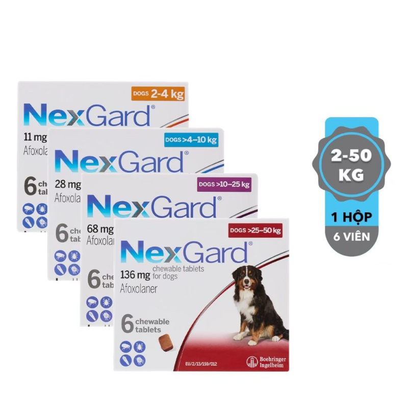 NexGard(1 tablet) - Chewable Tablets to Prevent and Treat Ticks, Fleas ...