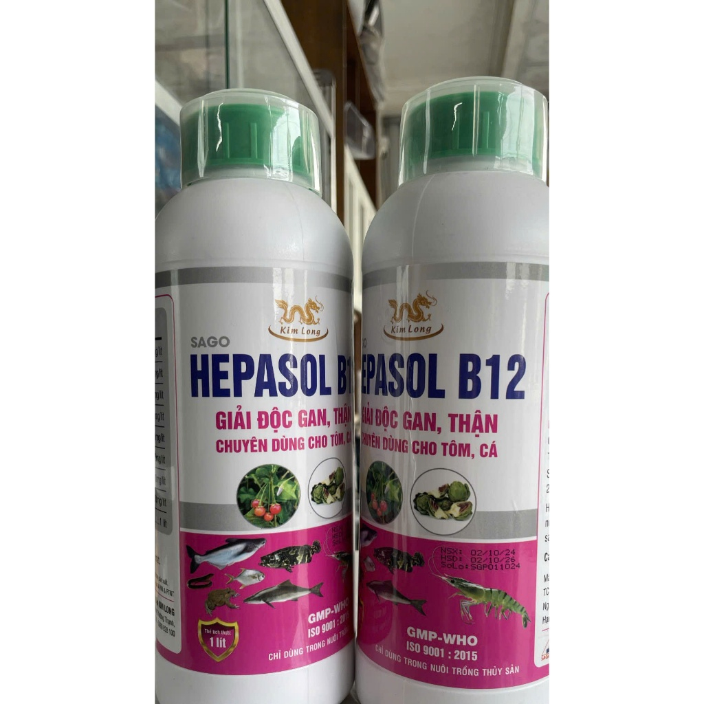 Hepasol B12 1 liter detoxifies the liver and kidneys, specialized for ...