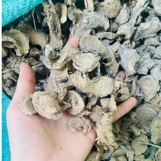 Sliced dried Sugarcane Root Root Root (Cat Loi Root) grade 1 | Shopee ...