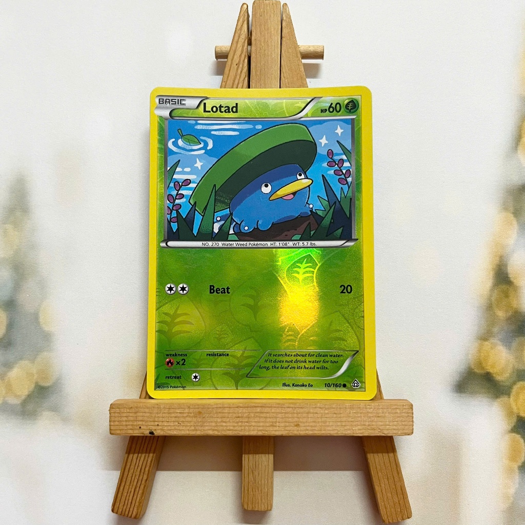 Pokemon Lotad 10/160 Picture Card - Genuine English XY Primal Clash ...